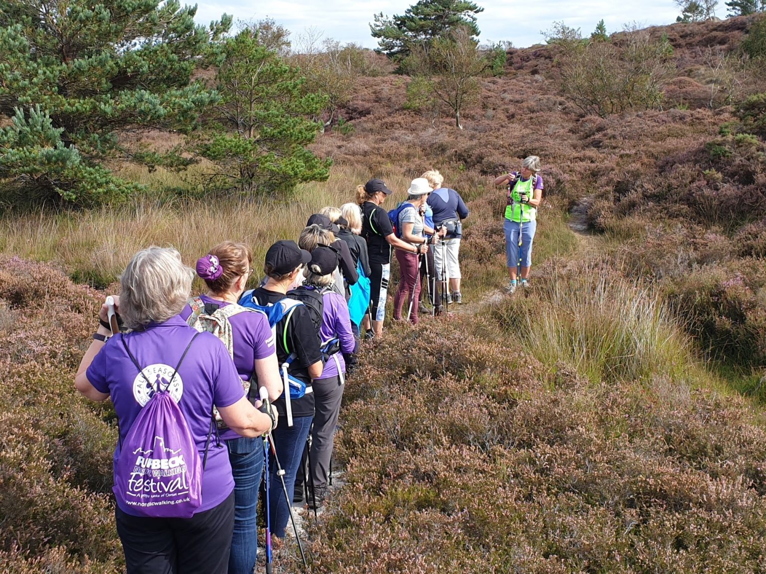 Get started with WALX