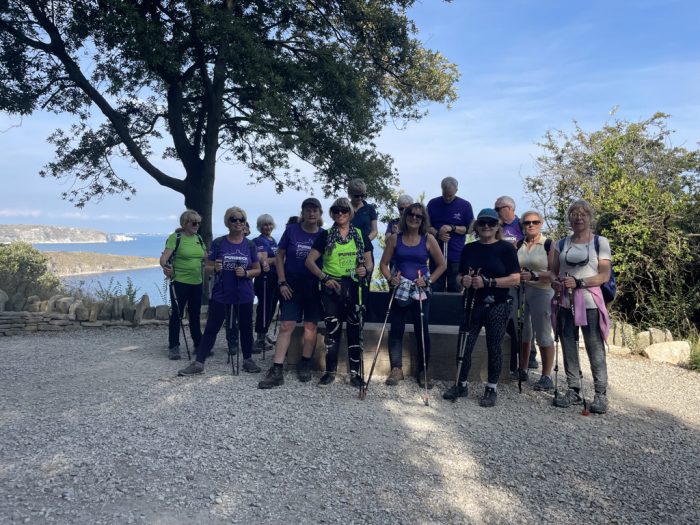 Get started with WALX