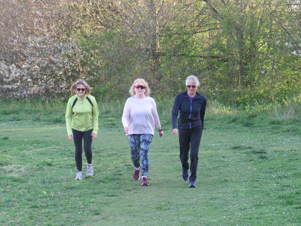 Introducing The Fun to Your Walk