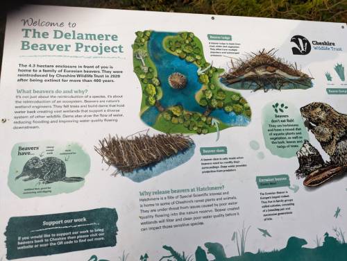Beaver enclosure