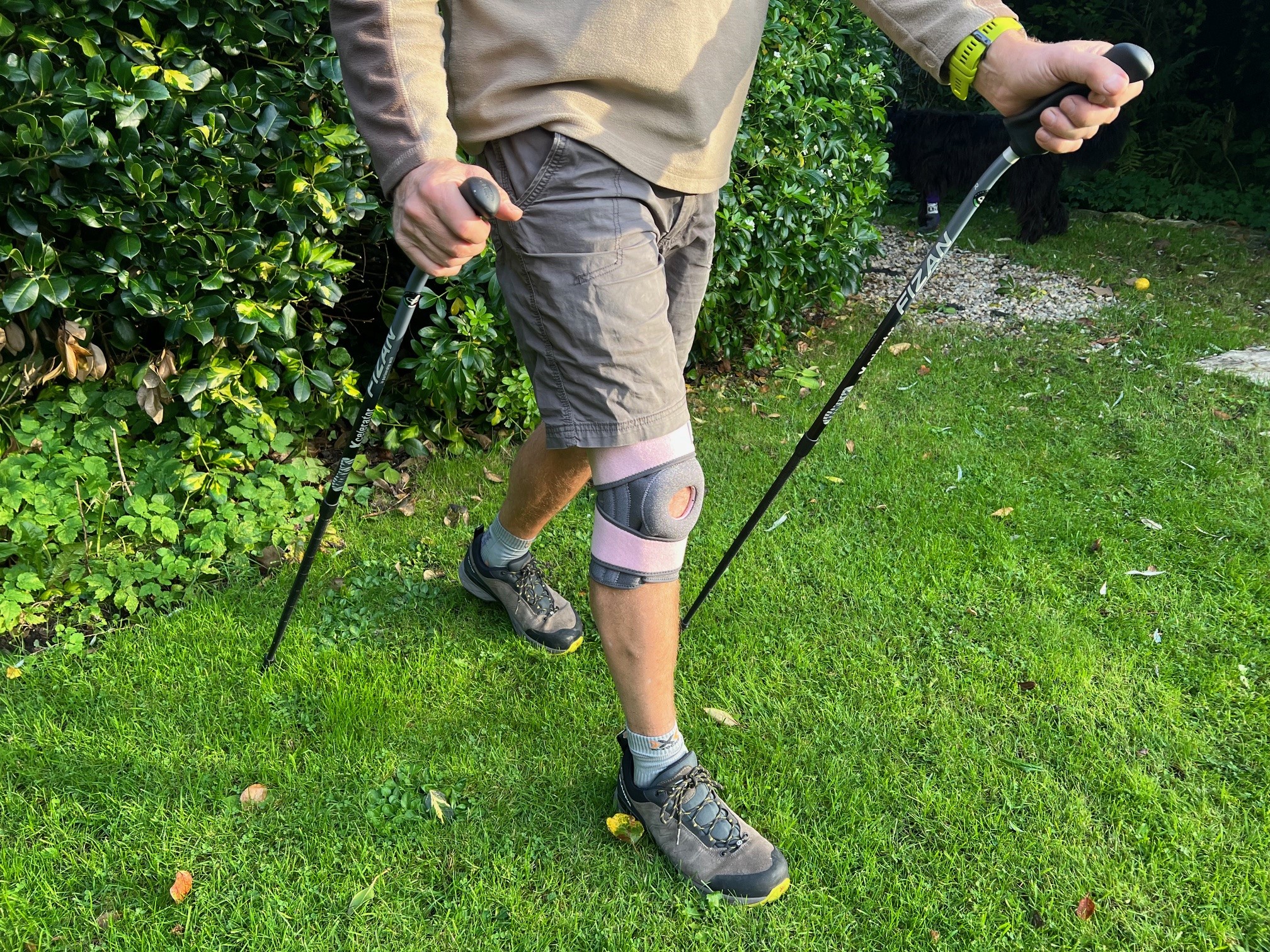 Poles aid hip & knee recovery