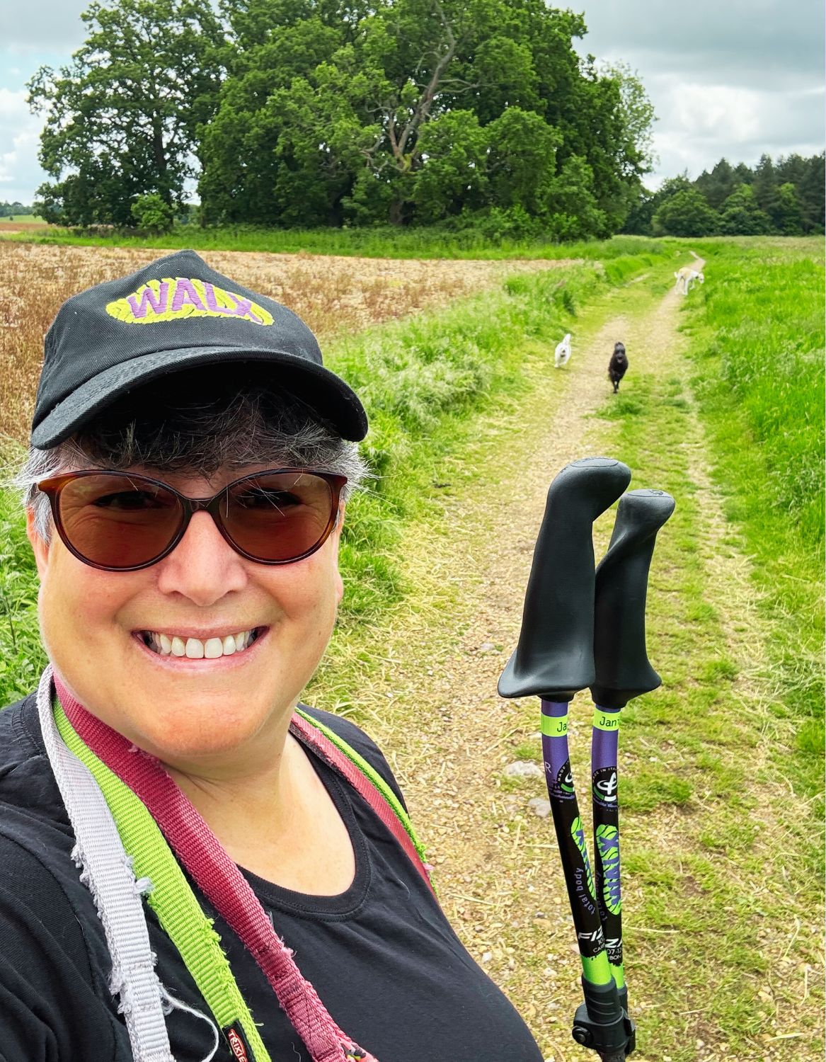 Daisy Chains – thoughts of a WALX Master